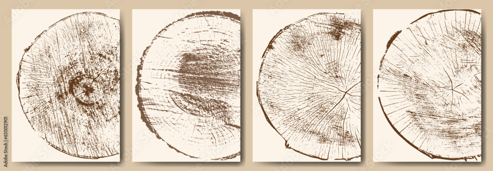 A set of backgrounds. Cross-section of wood background. Natural cut ...