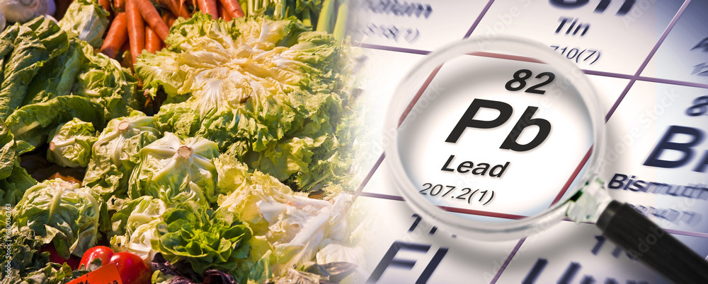 Lead pollution in vegetables - concept with the Mendeleev periodic ...