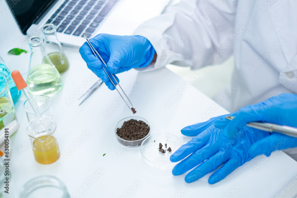 Concept of analysis of soil sample in botany laboratory. Biology ...