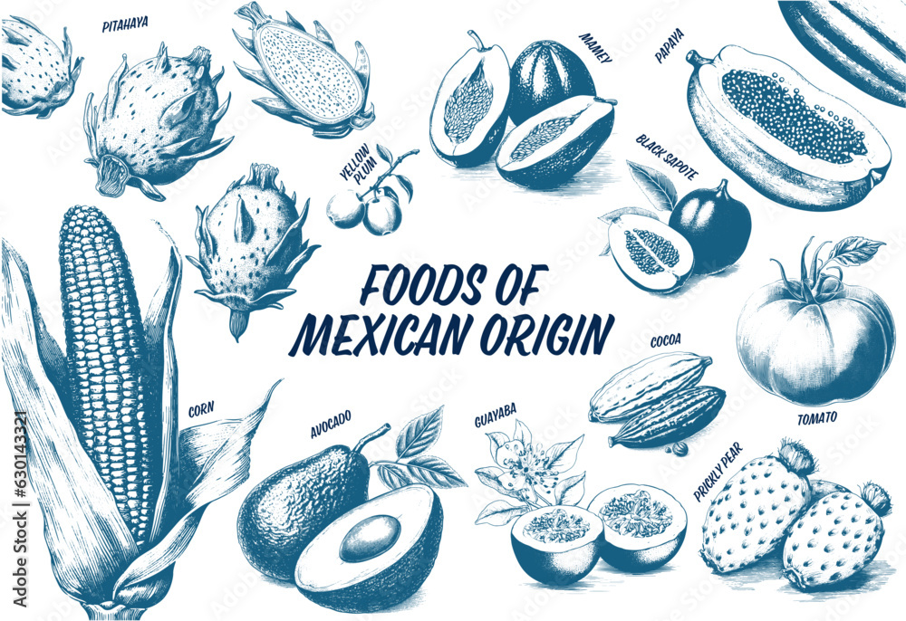 Collection of drawn foods of mexican origin. Sketch illustration ...