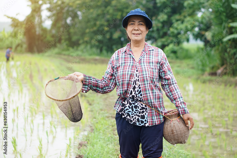 Asian senior woman farmer holds fishing net and creel to find ...