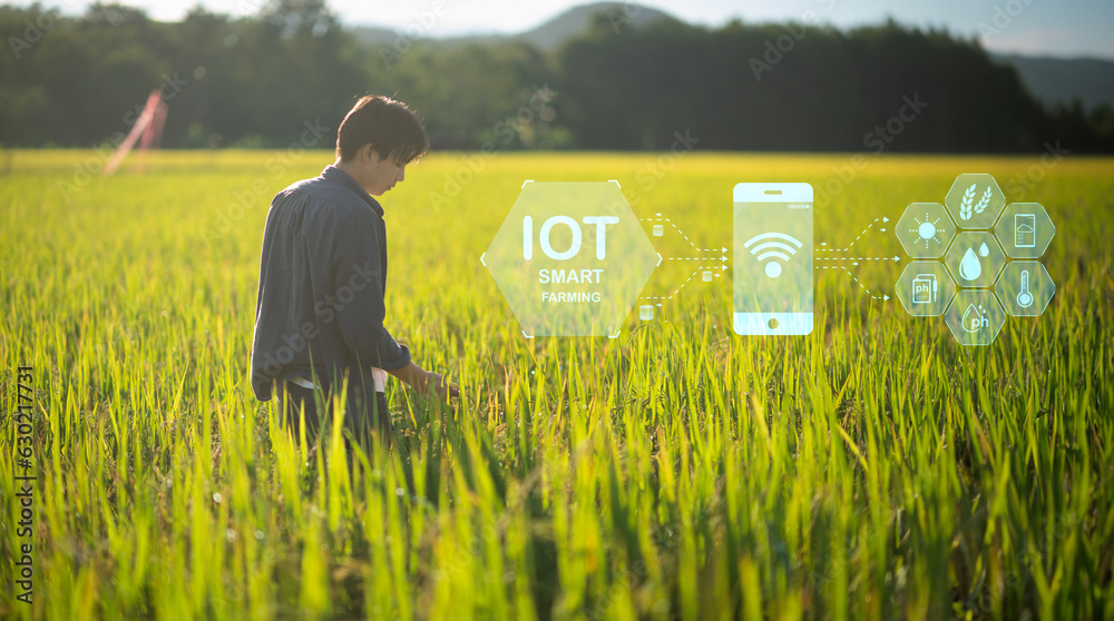 Smart Farming With Iot Rice Farming With Infographics Smart Agriculture
