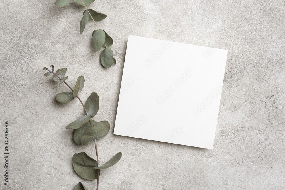 Blank square paper card mockup with eucalyptus twigs, mock up with copy ...