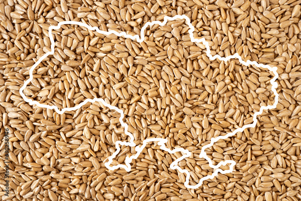 Map of Ukraine from sunflower seeds. background from peeled sunflower ...