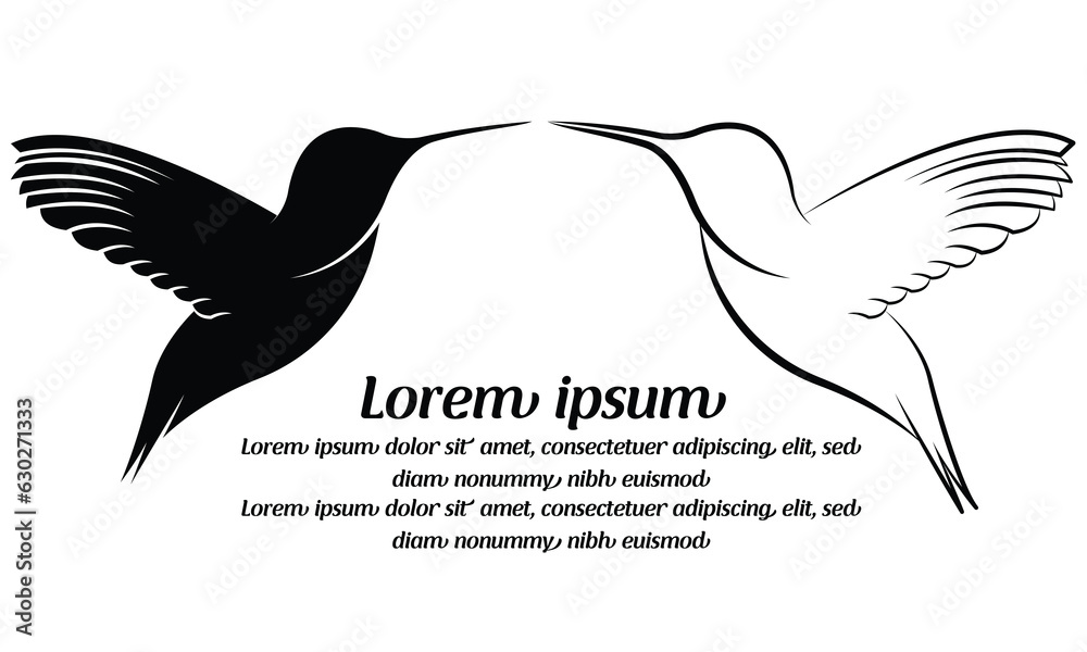 Bird silhouette and hand drawing bird vector hummingbird silhouette ...