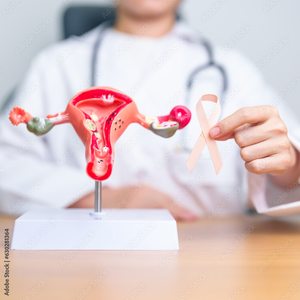 Doctor holding Peach ribbon with Uterus and Ovaries model for September ...
