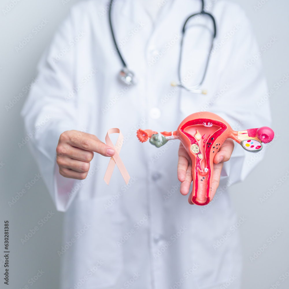 Doctor holding Peach ribbon with Uterus and Ovaries model for September ...