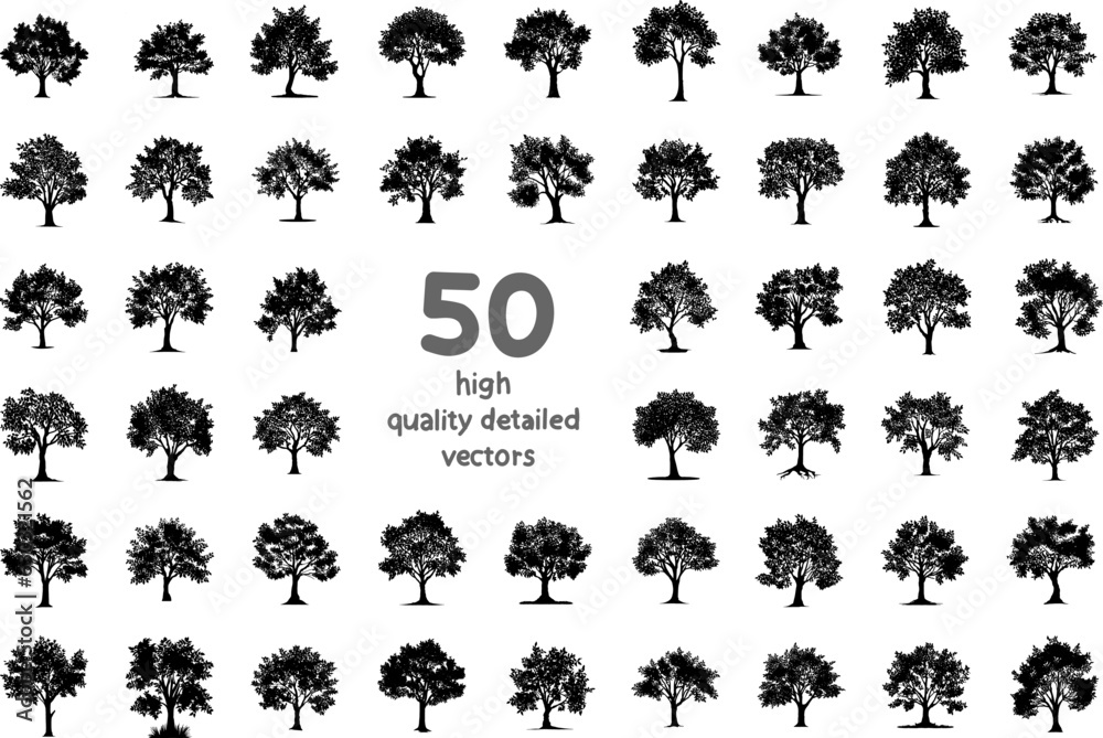 set of silhouettes of deciduous trees vector images on a white ...