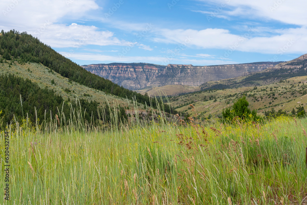 Big Horn Mountains National Forest in Wyoming & Montana show colorful ...
