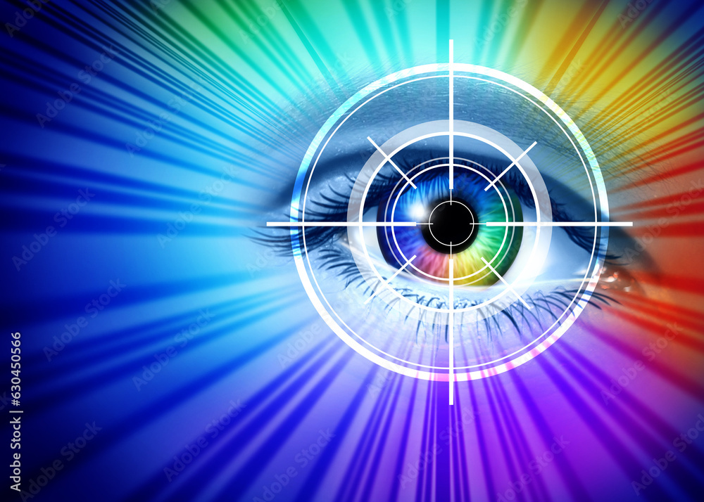 Iris Scanning and eye recognition or retinal scan as a biometric ...