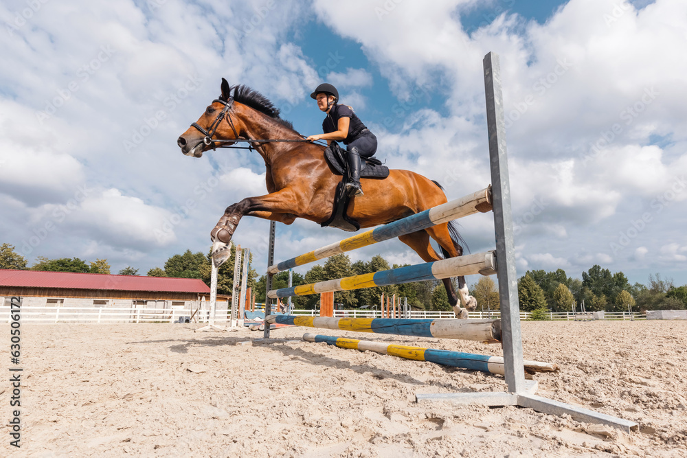 Female horseback rider jumping over a hurdle, a log fence, during ...