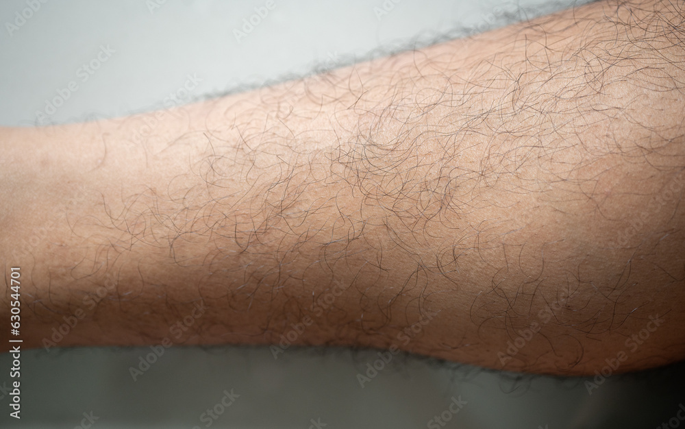 Cropped shot view of men's leg with messy shin hair grows. Leg hair is ...