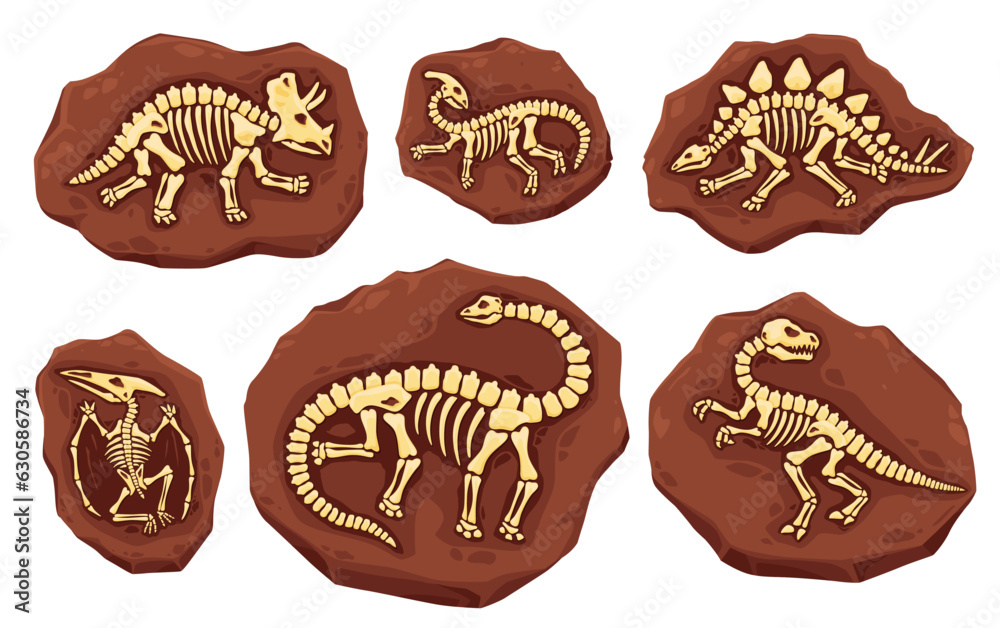 Dino fossil skeletons. Ancient dinosaur imprints in stone. Vector ...
