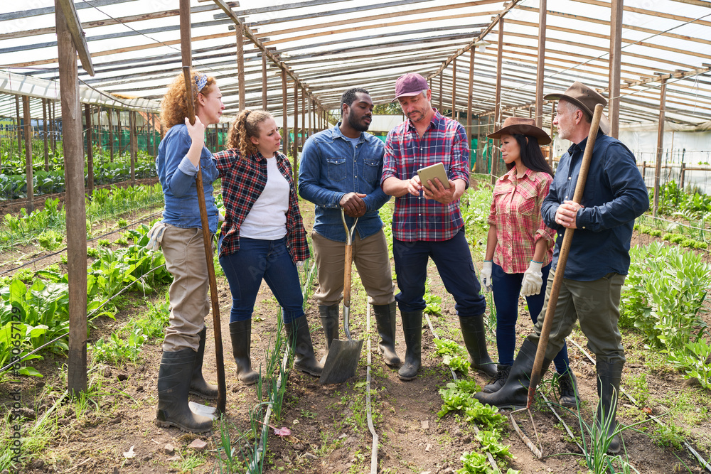 Multiracial farmers planning over digital tablet at greenhouse Stock ...