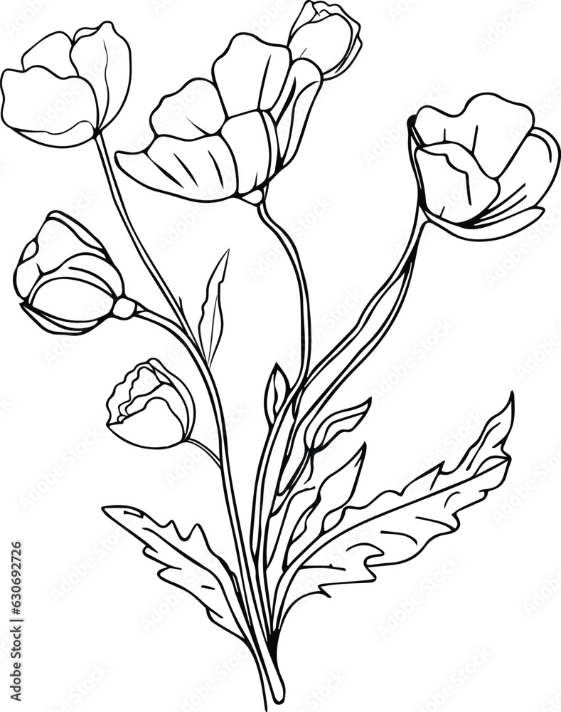 poppy flower vector clipart, poppy flower wall art, stock outline wall ...