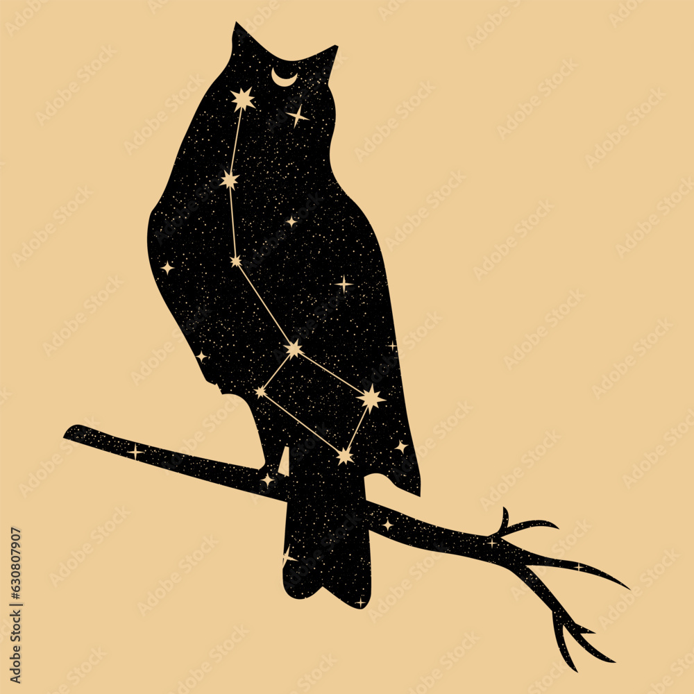 Beautiful universe black owl with Ursa Minor constellation, moon, stars ...