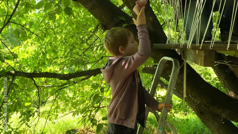 Father and little son come together to build charming treehouse. Cute ...