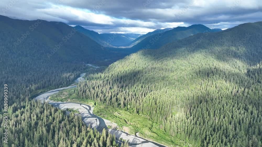 On the Olympic Peninsula, the Hoh river flows through one of the ...