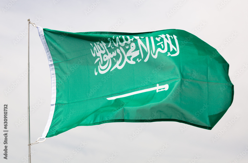 National flag of Saudi Arabia with green field and white Arabic ...