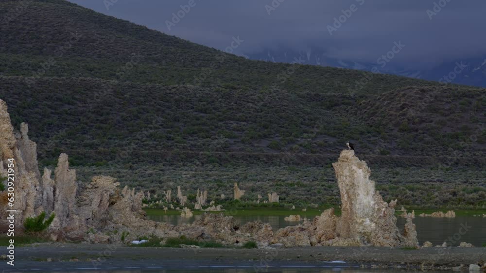 Small bird perched on tufa rock formations with mountain in the ...