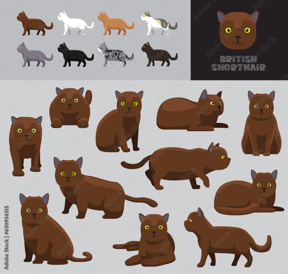 Cat British Shorthair Cartoon Vector Illustration Color Variation Set ...