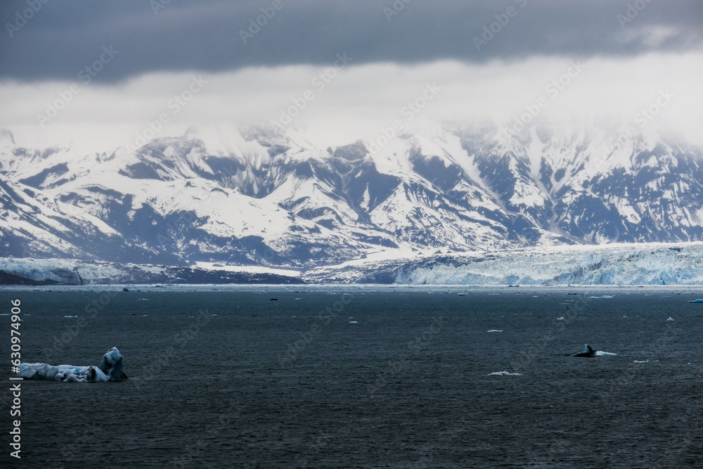 Cruise to Hubbard Glacier Bay in Alaska with floating ice bergs and ...
