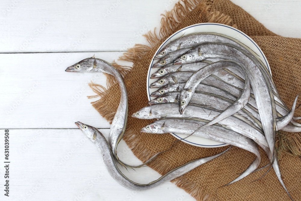 Ribbonfish, lepidopus caudatus, saber fish, hairtail fish,long fish ...