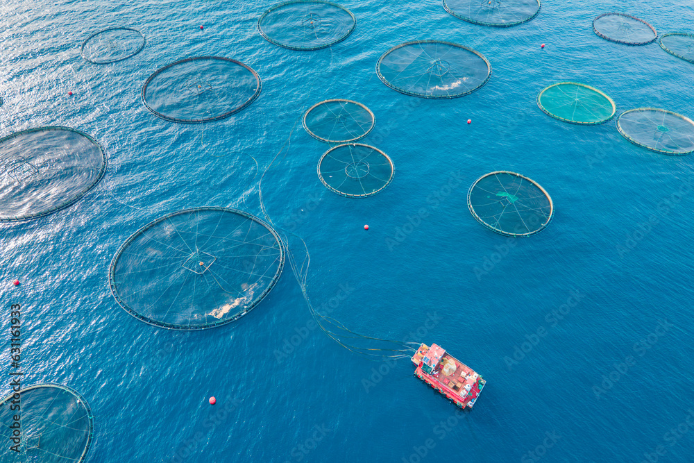 Aquaculture fish farm in sea, seafood industry, aerial view Stock Photo ...