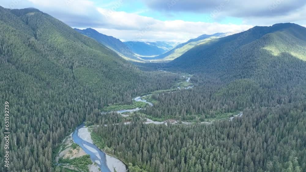 On the Olympic Peninsula, the Hoh river flows through one of the ...