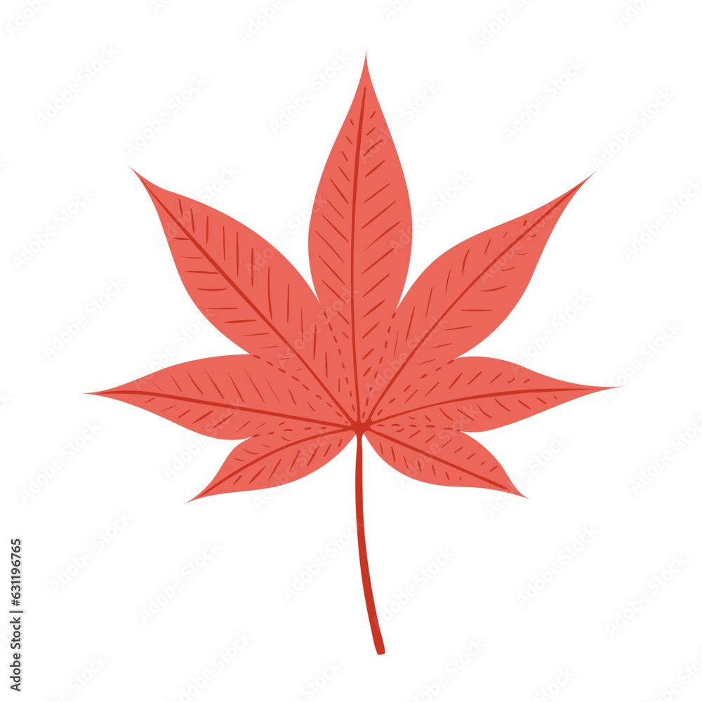 Momiji, maple tree leaf in autumn hand drawn illustration. Cartoon ...