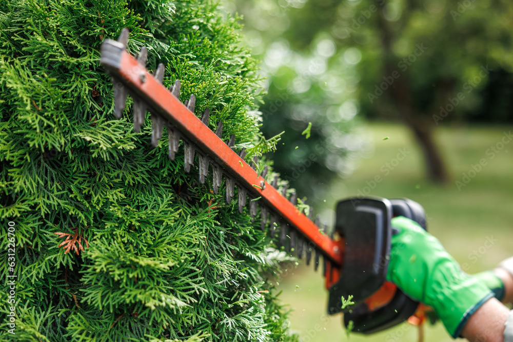 Shrubs trimmer store