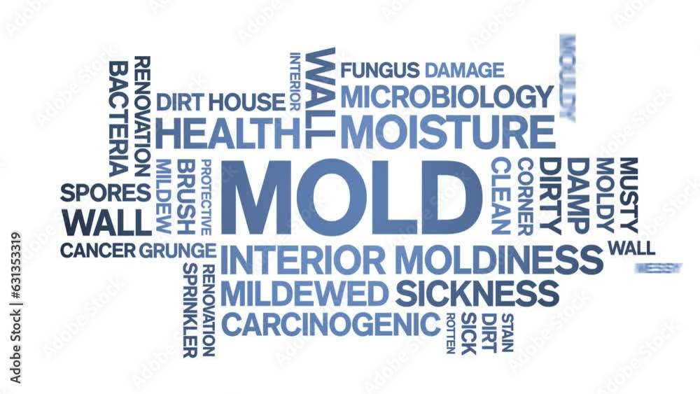 Vidéo Stock Mold animated tag word cloud;text design animation kinetic ...