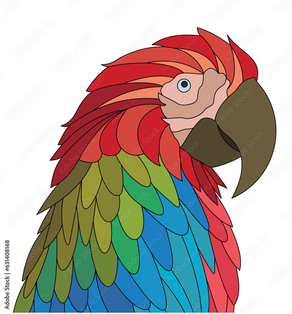Colorful Macaw Vector Illustration. Macaw Line Drawing Illustration ...