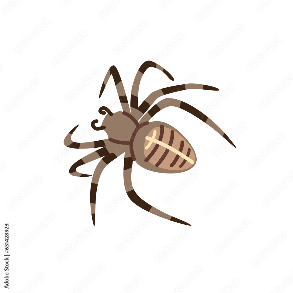 Simple big brown spider isolated on white background. Flat vector ...