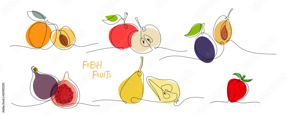 Fresh fruit set. Continuous one line drawing witn bright colors. Farmer ...