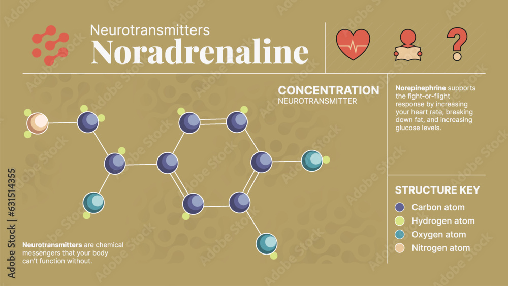 Noradrenaline Neurotransmitter Hormone Chemical Structure -A Visual ...
