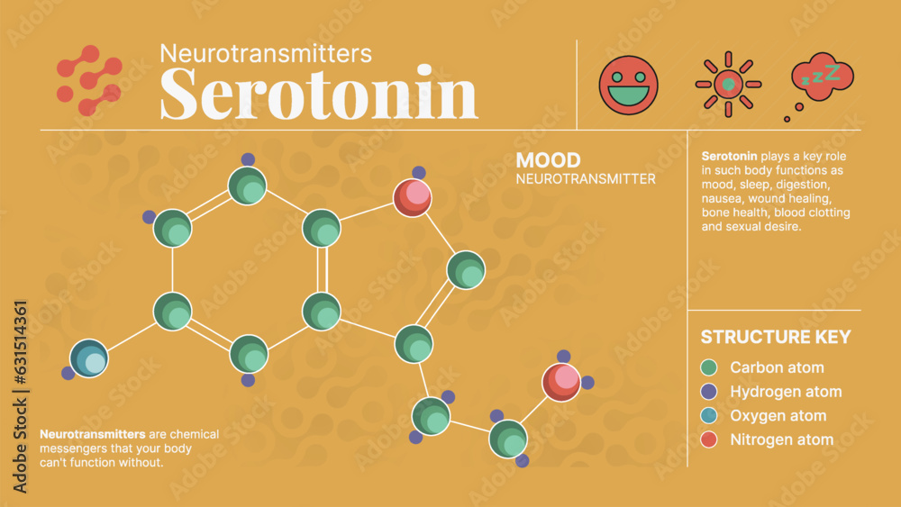 Serotonin Neurotransmitter Hormone Chemical Structure -A Visual Vector ...
