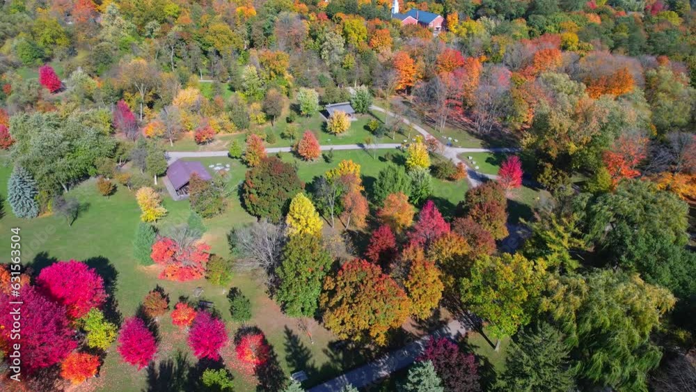 Stunning autumn beauty of Canadian nature at Scarborough Autumn park in ...