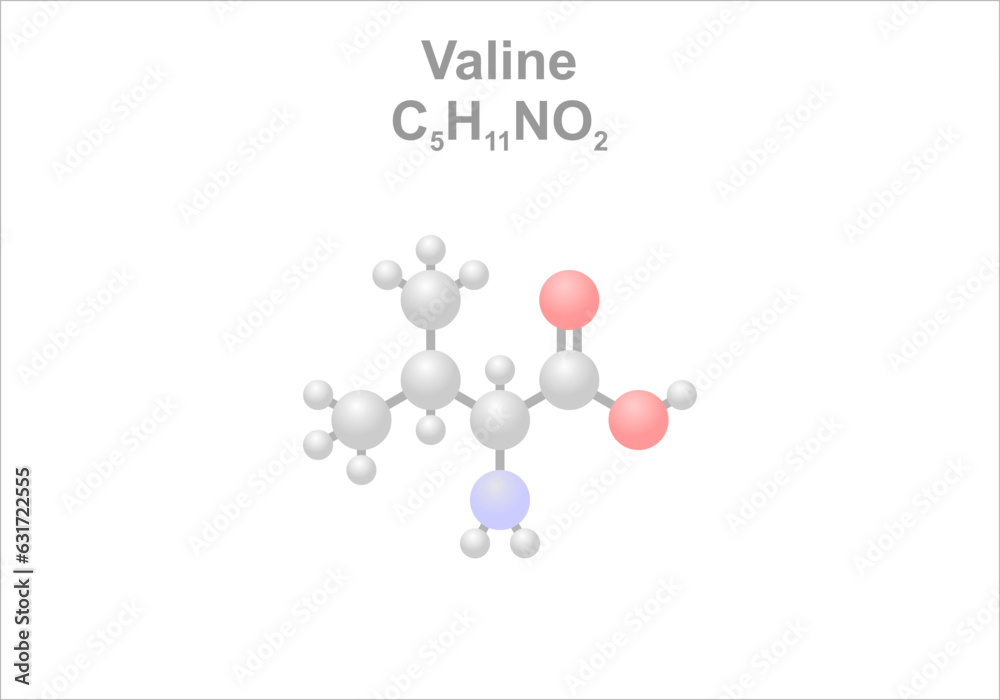Simplified scheme of the valine molecule. Important essential amino ...