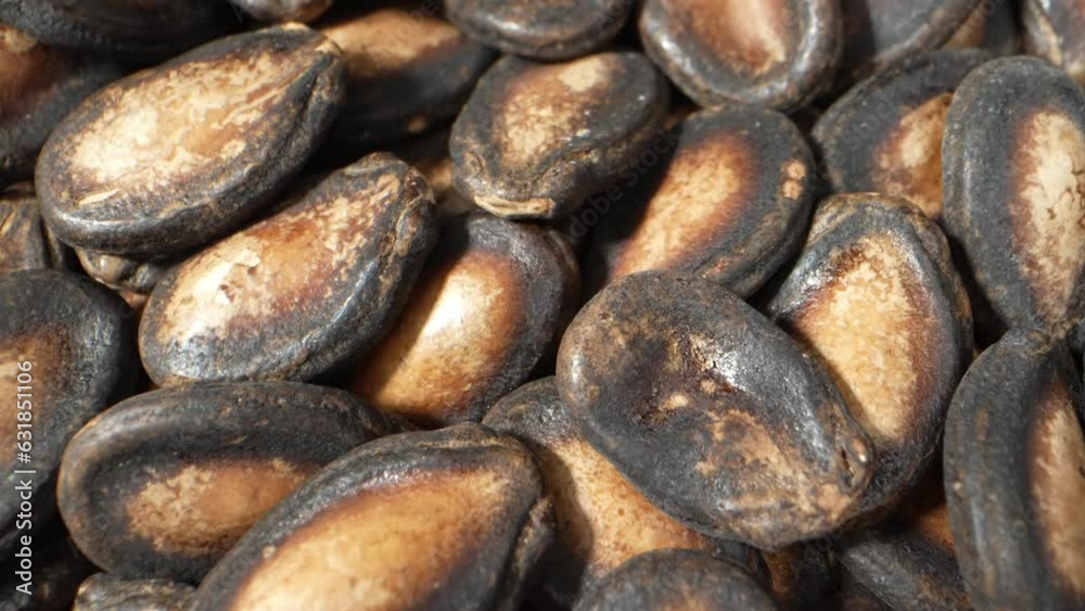 Explore the captivating world of Roasted Watermelon Seeds in this macro ...