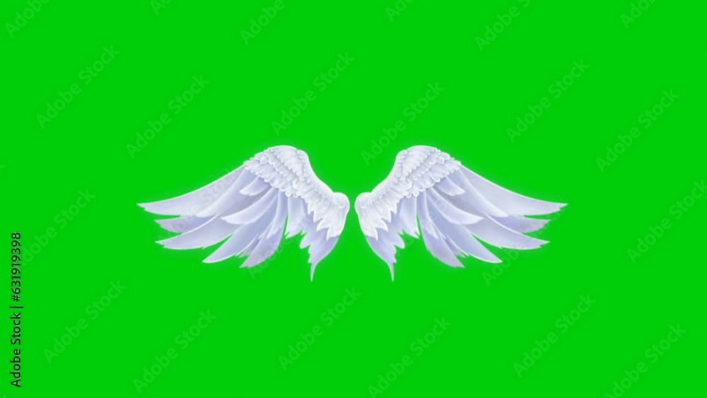 real angel wings green screen , loops, fantasy fairy wings with a green ...