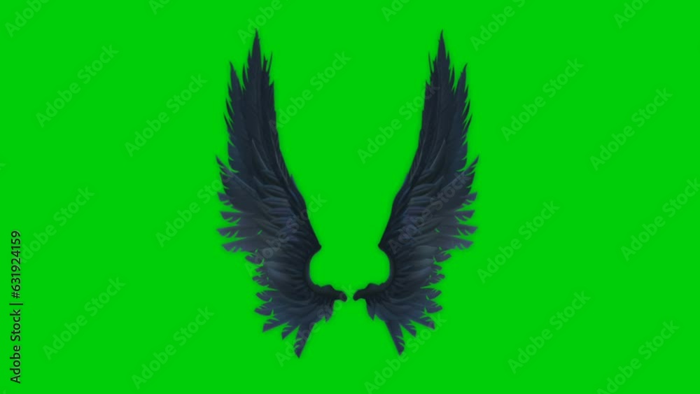 Vidéo Stock real angel wings green screen , loops, fantasy fairy wings ...