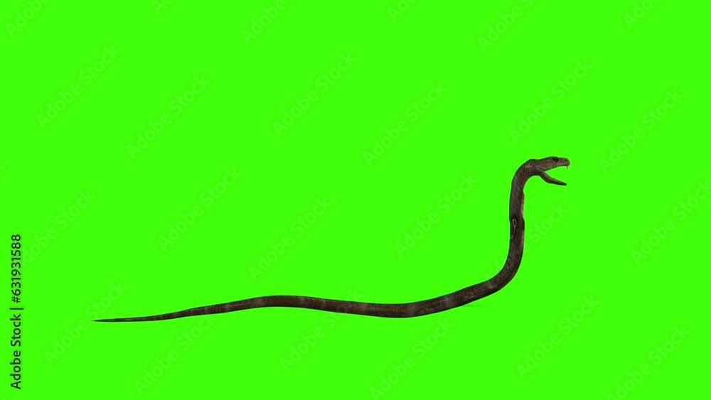 3D realistic Cobra Snake Crawling loop on green screen render, side ...