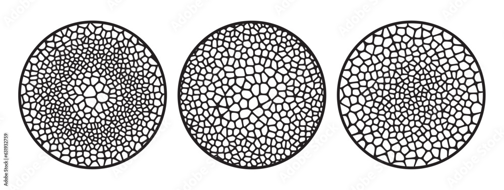 Organic cells radial pattern set. Vector grid mesh elements for design ...