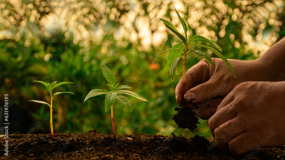 Reduce CO2 emission concept. Hand Planting trees and nature. Global ...