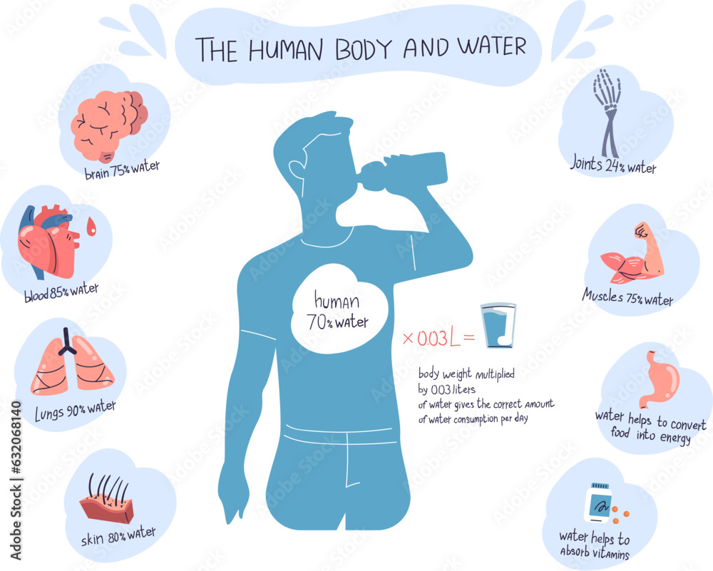 Water function in body. Fluid composition of human, drinking benefits ...