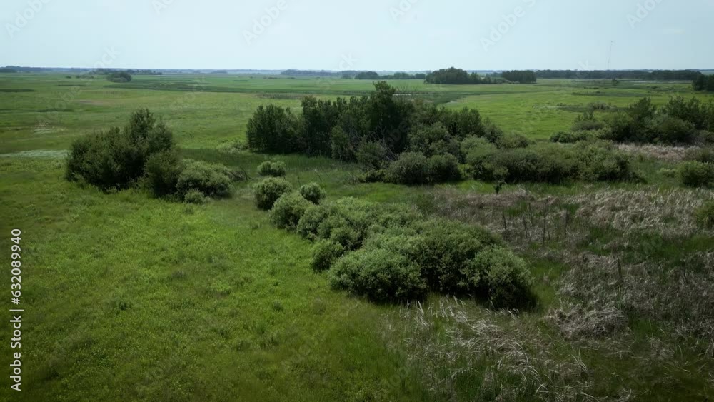 Low Altitude Drone Flies Surveying a Summertime Grassy Boreal Forest ...