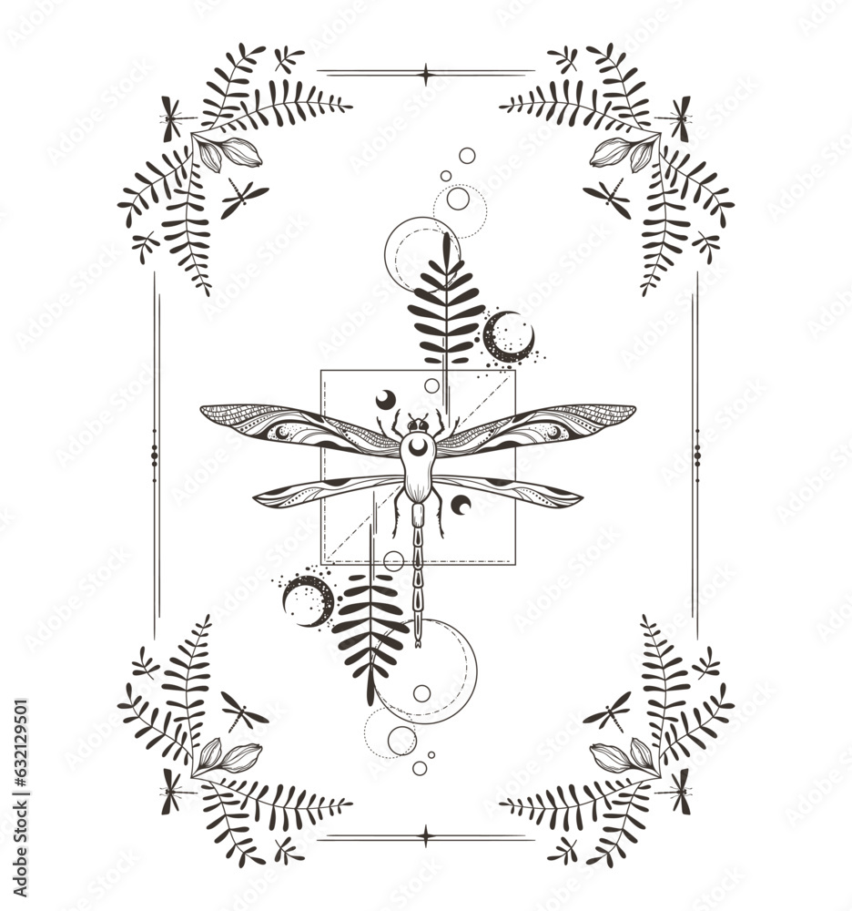 Celestial floral dragonfly, fern leaves and moon clipart in black color ...