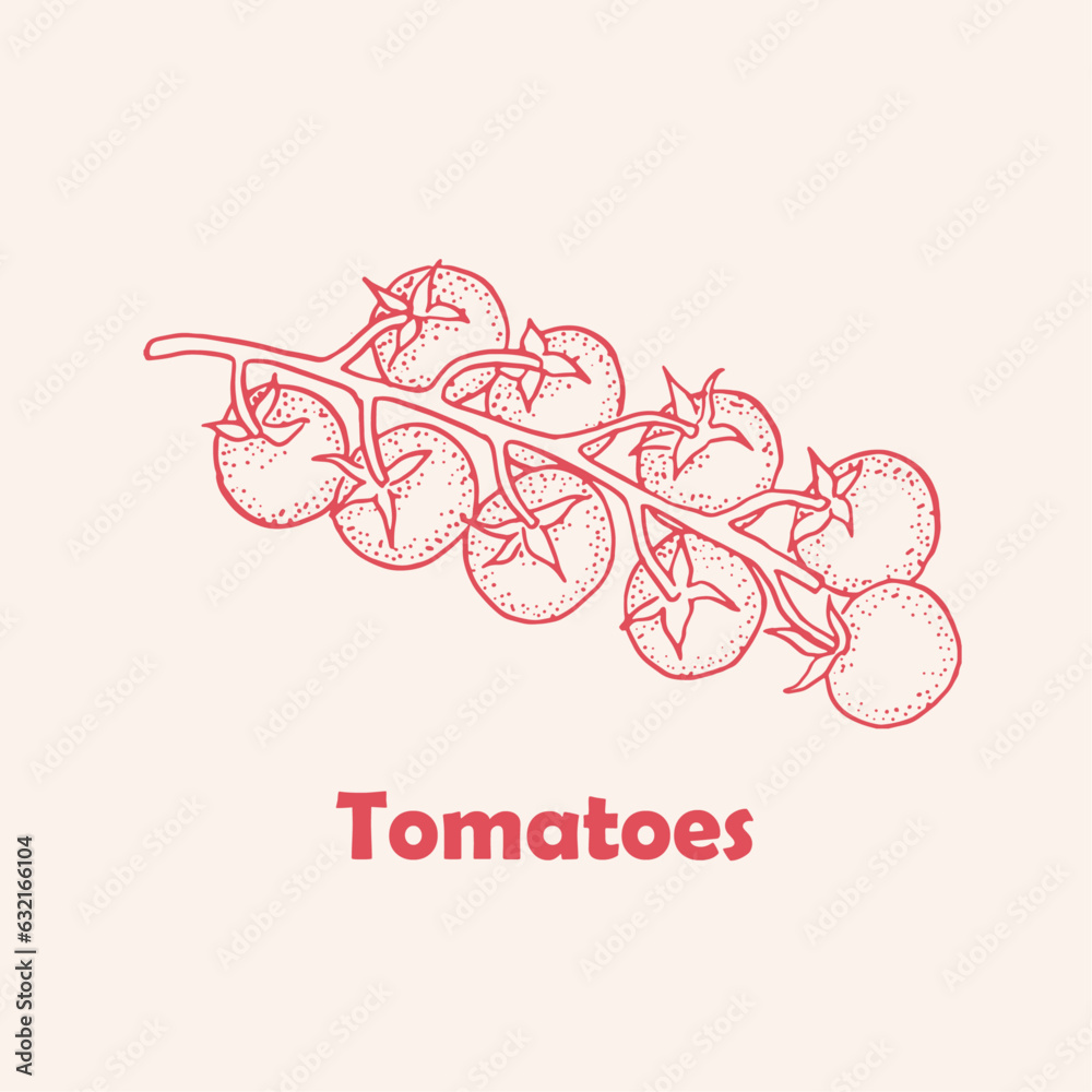 Tomatoes, tomato branch , logo , doodle ,line art, cherry tomatoes ...