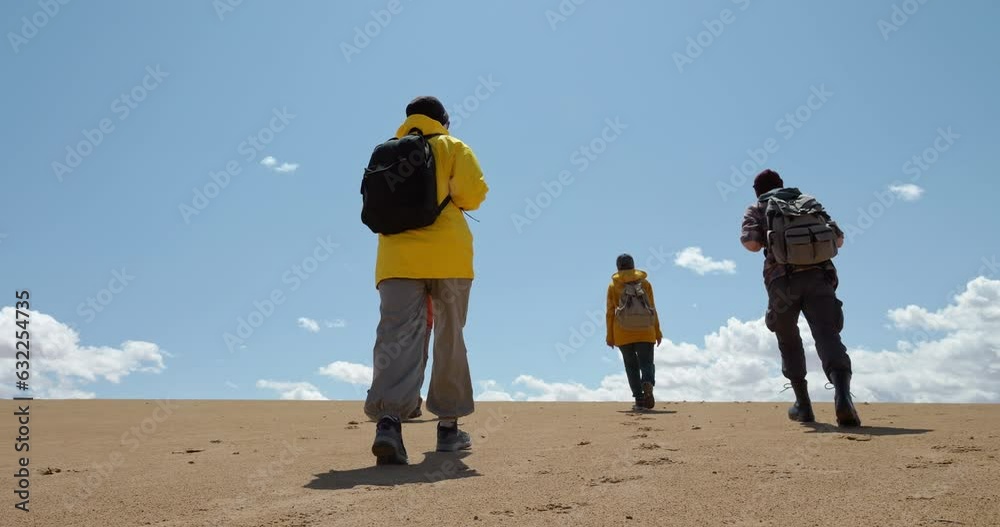 Four hikers together go way up along wild desert area back view. Travel ...
